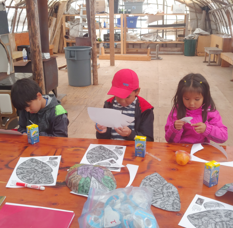 Nation - Summer literacy camps increased their activity as a step ...